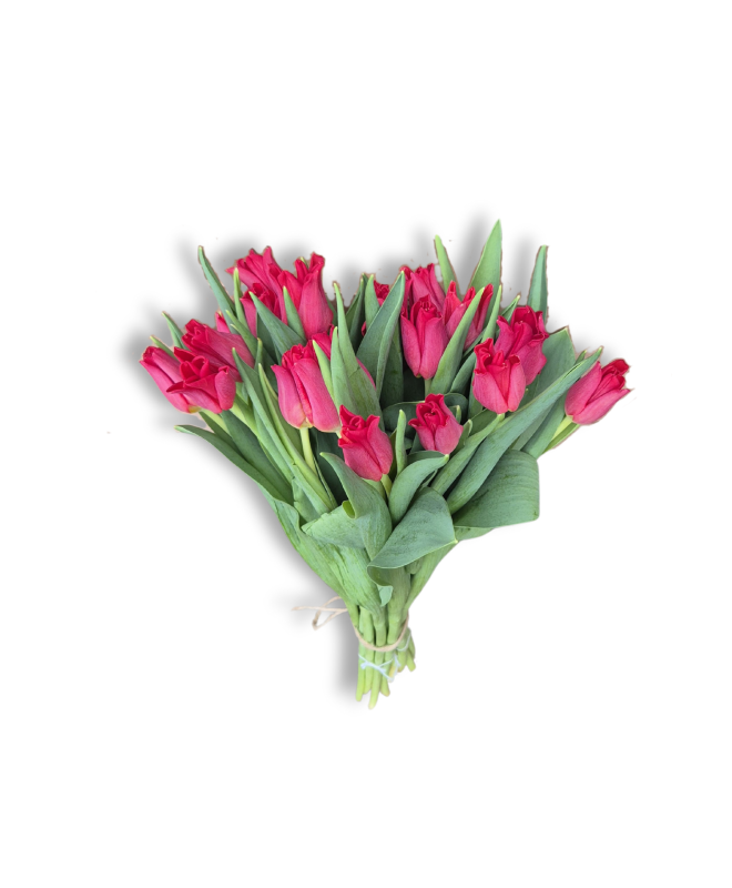 Oh les Fleurs ! Votre artisan fleuriste à Lille